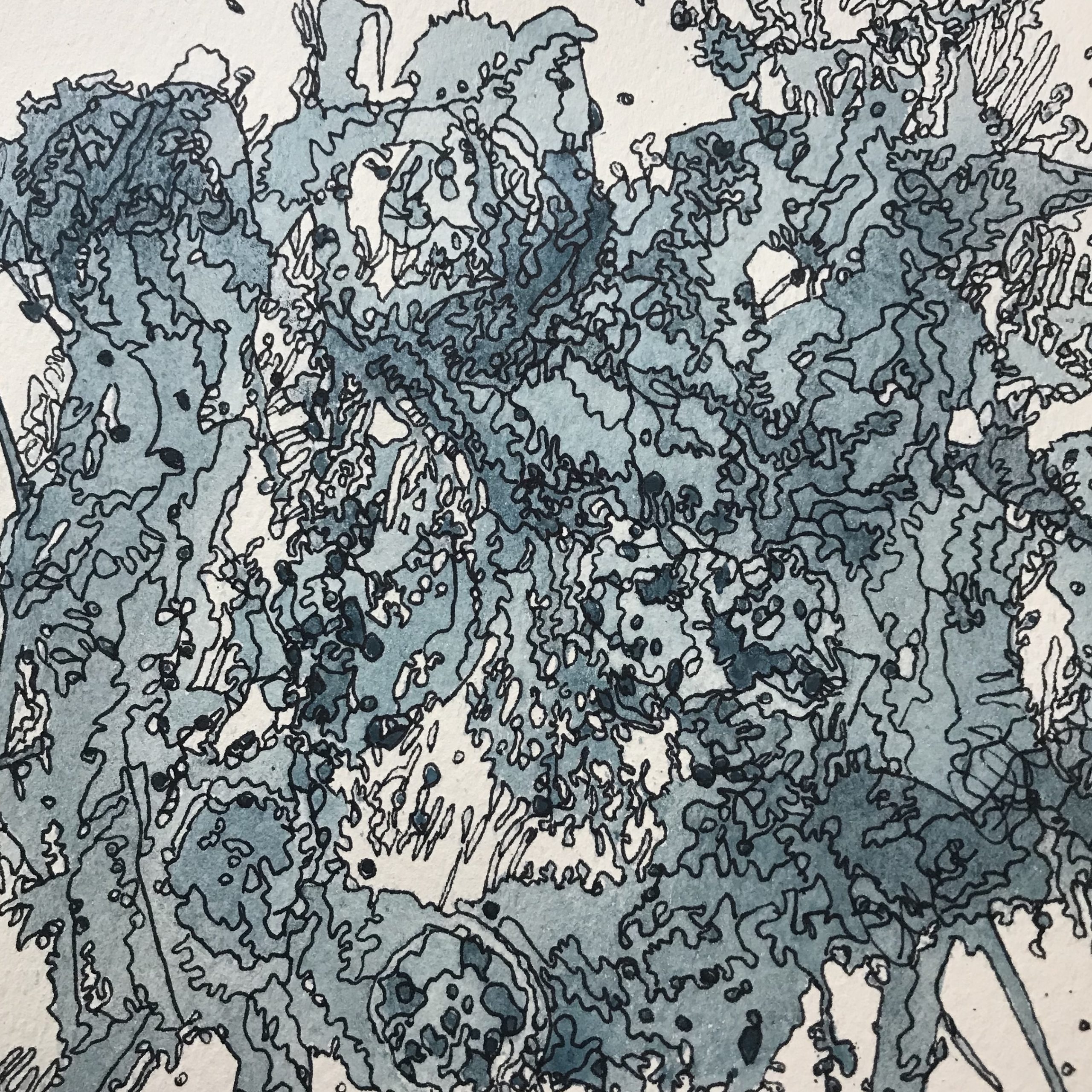 Capitol Hill Art League Mind of the Artist: Anne Albright - Capitol ...
